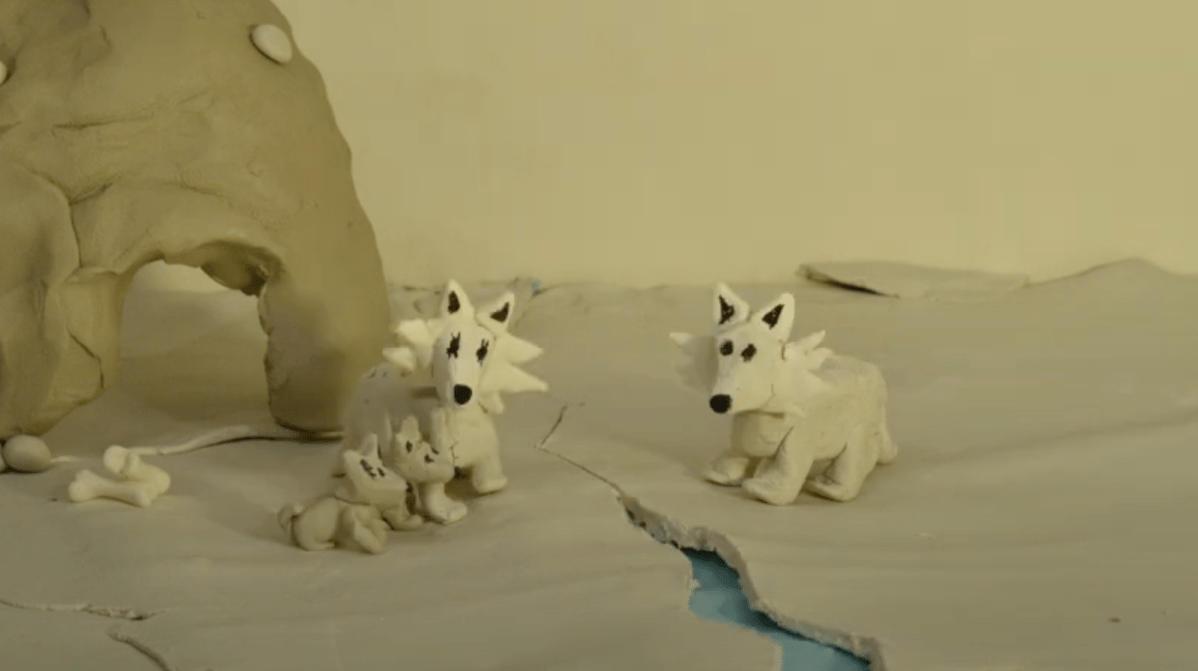 Arctic foxes, rabies and climate warming – Leighton Lab